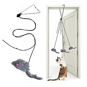 Kalimdor Interactive Cat Feather Toys,Retractable Teaser Toy ，Hanging Interactive Toys for Indoor Cats Kitten Play Chase Exercise, Kitten Mental Exercise Toys (1 Pack)