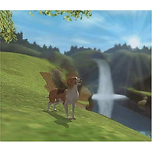 Dog's Life (Renewed)