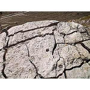 Dexpan Expansive Demolition Grout 11 Lb. Bucket for Rock Breaking, Concrete Cutting, Excavating. Alternative to Demolition Jack Hammer Breaker, Jackhammer, Concrete Saw, Rock Drill (Type 2, 50-77° F)