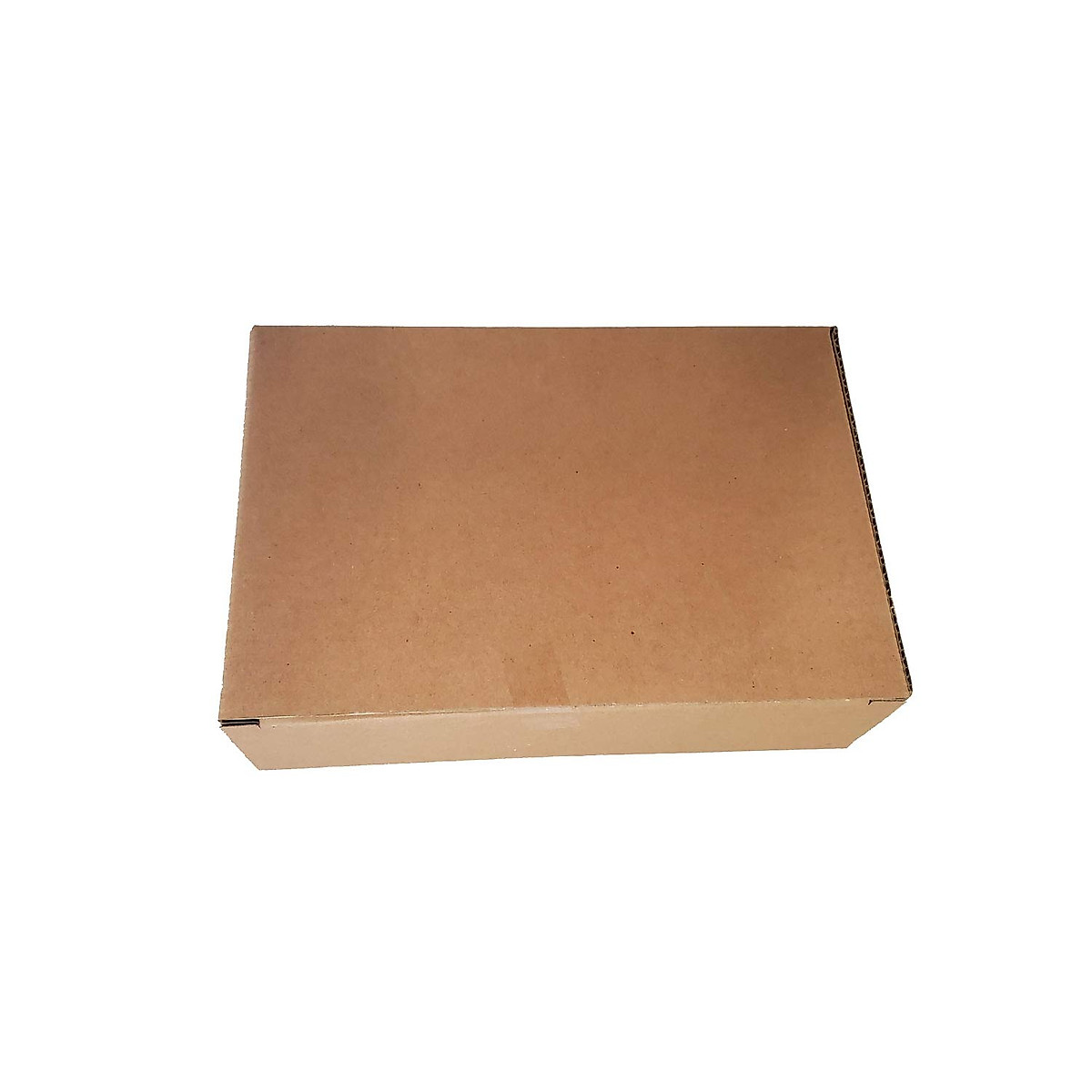 Side Mirror Glass Assembly With Plastic Back Plate (Non-Heated) Compatible with Ford 1997-2003 F150, 1997-1999 F250, 1997-2002 Expedition (Driver Side No Heat)