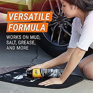 Carpet and Upholstery Cleaner Spray by Armor All, Car Upholstery Cleaner for Tough Stains, 22 Fl Oz, 1 Count (Pack of 1)