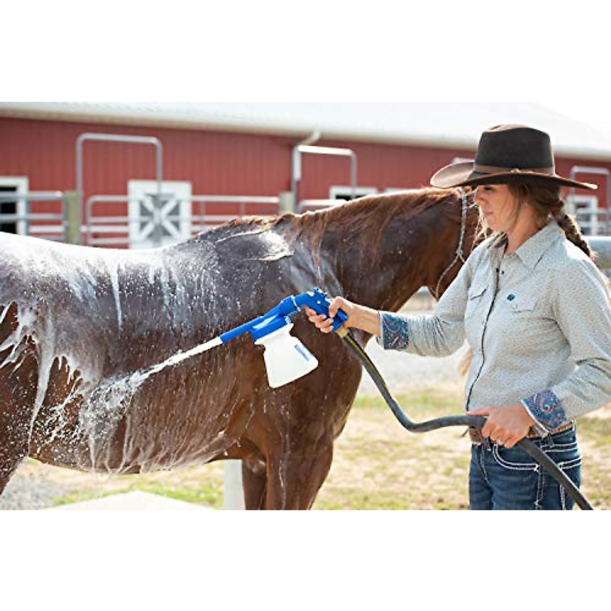 Weaver Leather eZall Complete Starter Bath Kit, Blue