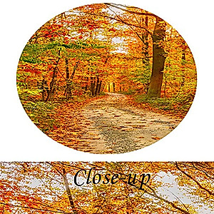 Kreative Arts Large Wall Art Fall Scenery Canvas Prints Panorama Forest in Vibrant Warm Colors Sun Shining Through Leaves Pictures Autumn HD Printed Painting Framed Art Works Home Walls 48x20