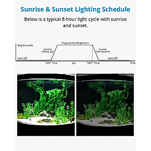 NICREW Aquarium Light Timer&Dimmer, Easy to Program Fish Tank Light Controller