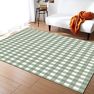 SRAELO Sage Green Buffalo Plaid Area Rug, Farmhouse Green White Geometric Plaid Washable Rugs, with Anti-Slip Backing Indoor Large Carpet for Living Room Bedroom Study Dining Room-3x4ft, Style-17