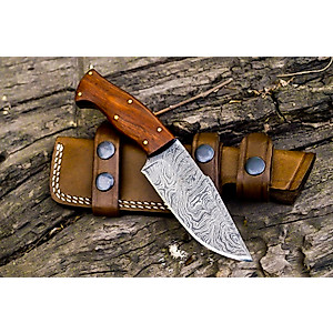 Nooraki HK-319 Custom Handmade Damascus Steel Knife - Full Tang Rosewood Handle, with Leather Sheath 8 Overall Hunting Skinning Survival Knife (Damascus Steel)