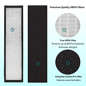 Lhari FLT5000 Filter C True HEPA Replacement Filter, Compatible with GermGuardian Air Purifiers AC5000, AC5250PT, AC5000E, AC5350B, AC5350BCA, AC5350W, BXAP250, IAP-GG-125