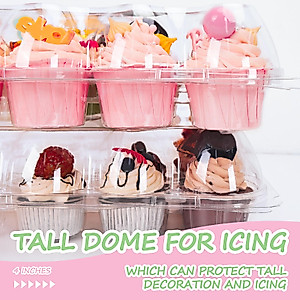 Moretoes (12 Pack x 25 Sets) Stackable Cupcake Containers with 300 Cupcake Liners, High Tall Dome Lid Cupcake Carrier for 12 Cupcakes, Plastic Cupcake Boxes with Detachable Lid