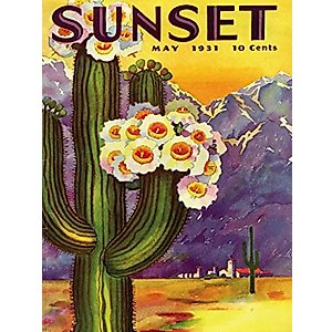 New York Puzzle Company - Sunset Cactus Blooms - 500 Piece Jigsaw Puzzle