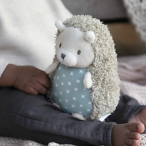 Ingenuity Premium Soft Plush Squeak Toy - Farrow The Hedgehog, Ages Newborn and up