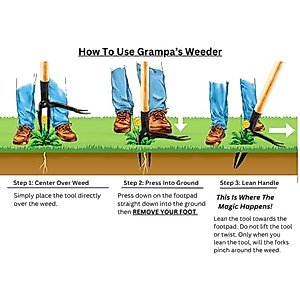 Grampa's Weeder - The Original Stand Up Weed Puller Tool with Long Handle - Made with Real Bamboo & 4-Claw Steel Head Design - Easily Remove Weeds Without Bending, Pulling, or Kneeling