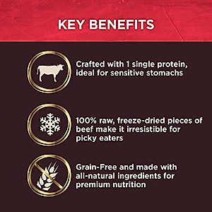 Wellness CORE Bare Bowl Boosters for Dogs, Grain-Free Freeze-Dried Food Mixer Or Topper, Made with Natural Ingredients (Beef, 4-Ounce Bag)