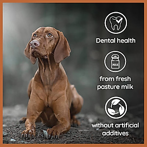 Wildfang® Yak Chews for Dogs, Chewing Bone Dog from Cow Milk - Hard Cheese Chewing Cheese for Dogs from Pasture Milk, Yak Himalaya Recipe, All Dog Sizes and Puppies, Himalaya Yak Dog Chewing Bone