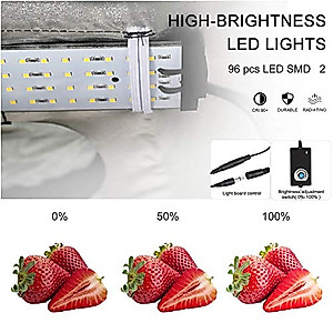 LTRINGYS Photo Studio Light Box 24''x24'' with LED Lights, Collapsible Photography Photo Background Shooting Tents with 4 Photo Backdrops(Black, White, Blue ,Green) 5500K US Plug