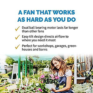 NewAir 20” Outdoor High Velocity Wall Mounted Fan with 3 Fan Speeds and Adjustable Tilt Head, NIF20WBK00