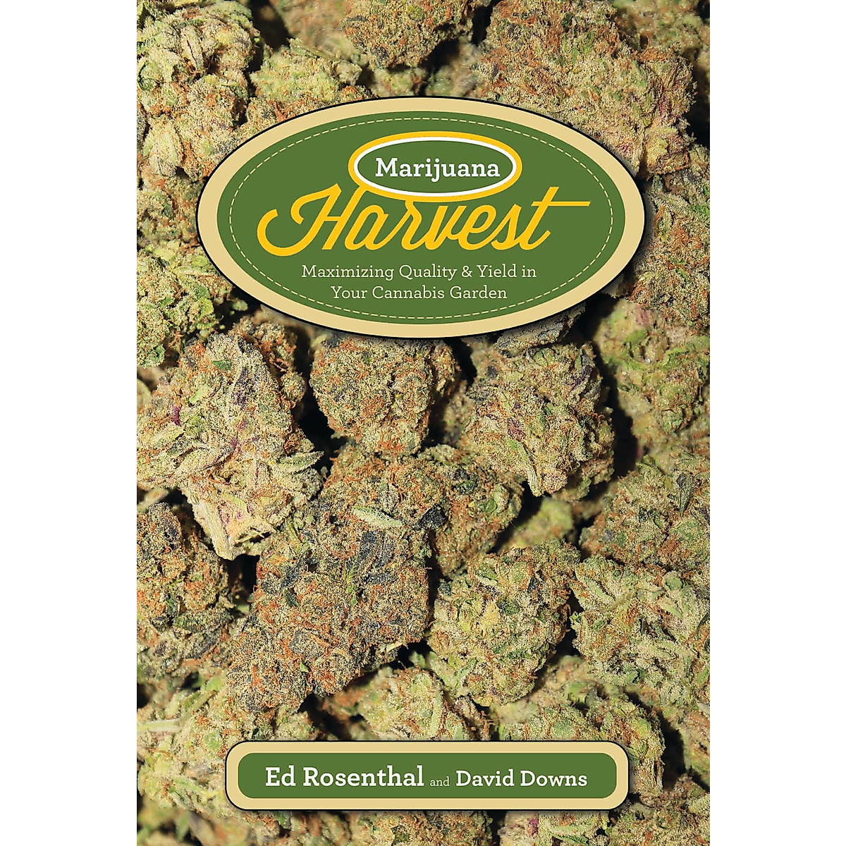 Marijuana Harvest: How to Maximize Quality and Yield in Your Cannabis Garden