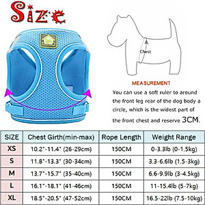 FEimaX Dog Harness and Leash Set, No Pull Breathable Soft Mesh Puppy Vest Harness Reflective Adjustable Pet Harnesses for Small Medium Dogs and Cats - Outdoor Easy Control for Walking