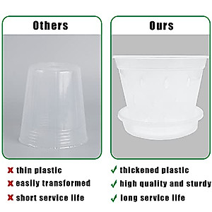 Haawooky Orchid Pots,5.5 inch Plastic Orchid Pots with Holes and Saucers,Slotted Clear Orchid Pots for Indoor and Outdoor Flower Planting,5 Pack