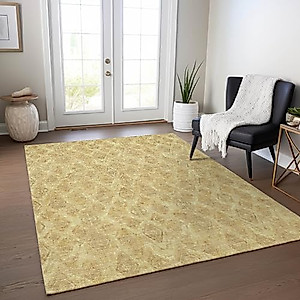 Addison Rugs Chantille ACN622 Gold 3' x 5' Indoor Outdoor Area Rug, Easy Clean, Machine Washable, Non Shedding, Bedroom, Living Room, Dining Room, Kitchen, Patio Rug