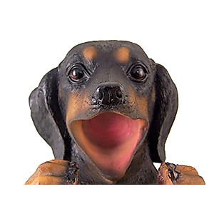 DWK "Weenie Wino Dachshund Decorative Table Top Wine Bottle Holder | Home Bar Decor | Wine Accessories for a Wine Bar | Kitchen Organization | Great Gifts for Her - 11"