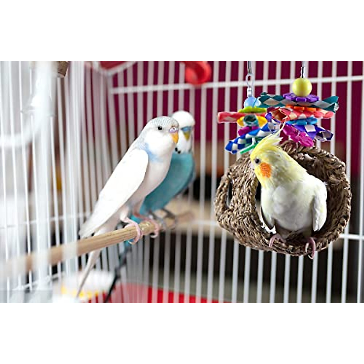 Vehomy Seagrass Bird House Bird Parrot Sea Grass Tent Parrot Tunnel with Holes Natural Hanging Hammock Swing Nest Bird Snuggle Hut Toy for Bird Parrot Hamster