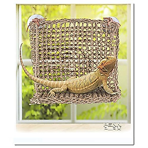 PENN-PLAX Reptology Lizard Lounger Sun Lover Basking Platform – 100% Natural Seagrass Fiber – Great for Bearded Dragons, Anoles, Geckos, and Other Reptiles
