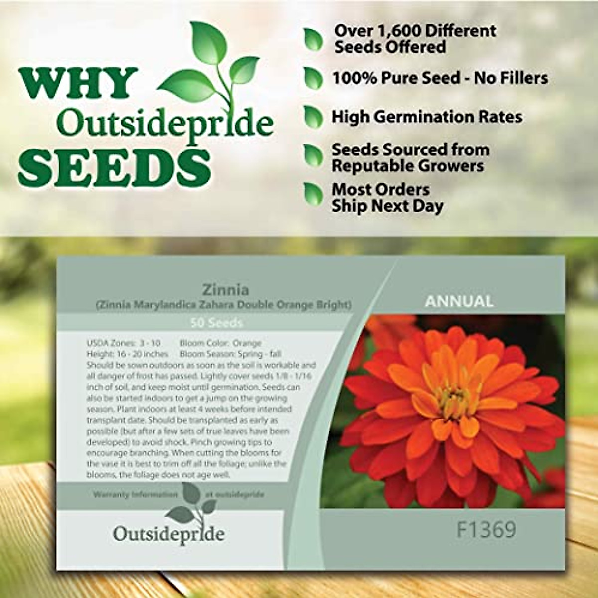 Outsidepride Zinnia Zahara Double Bright Orange Heat & Drought Tolerant Garden Cut Flowers - 50 Seeds