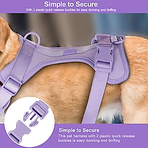 No Pull Lightweight Dog Harness: Adjustable Durable Breathable Mesh Pet Vest Harness with Soft & Comfortable Cushion, for Small Medium Large Dogs (S, Lilac)