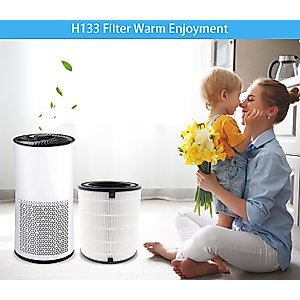 NXBHG Lv-H133 Replacement Filter Only Compatible with LEVOIT LV-H133 Air Purifier, H13 Grade True HEPA Filter and Activated Carbon Filter Set, LV-H133-RF, 2 Pack