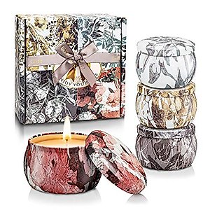 CREASHINE Scented Candles Gift , Stress Relief Pure Soy Wax Single Wick 100 Hour Burn 16 Ounce Unit Portable Travel Tin Perfect for Women Aromatherapy Anniversary - 4 Pack