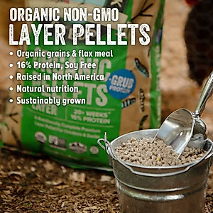 Scratch and Peck Feeds Organic Layer Pellets 16% - Premium Chicken and Duck Feed Formulated with Sustainable Grub Protein, Vitamins, and Minerals – 25 lbs