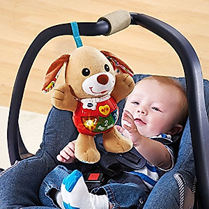 VTech Baby Cuddle and Sing Puppy