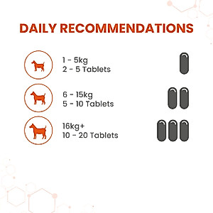 Vetzyme Garlic Health Supplement Tablets for Dogs, Healthy Heart, Vitality for Dogs, 240 Tablets