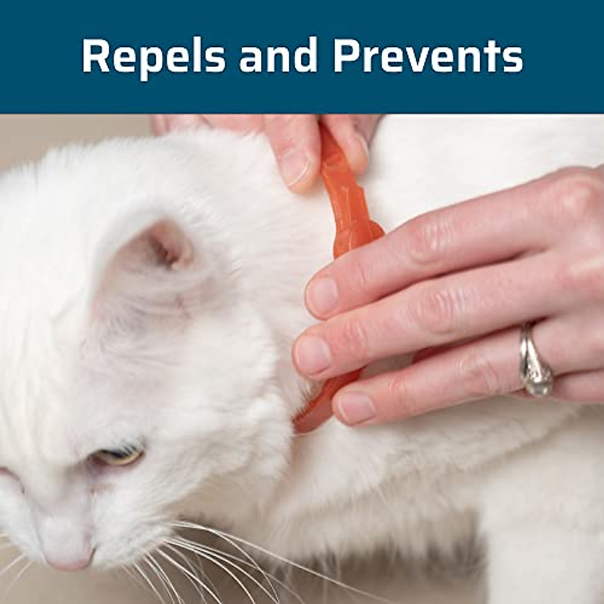 Wondercide - Flea and Tick Cat Collar - Flea, Tick, and Mosquito Repellent, Prevention for Cats - with Natural Essential Oils - Pet and Family Safe - Up to 4 Months Protection