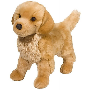 King GOLDEN RETRIEVER (2/6)
