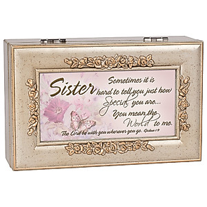 Cottage Garden Sister You Mean The World to Me Silvertone Embossed Floral Jewelry Music Box Plays Amazing Grace