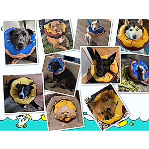 Protective Inflatable Collar for Dogs and Cats - Soft Recovery Pet Cone, E-Collar Does not Impede Vision Blue M