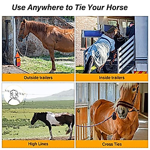 Debialo Horse Tie Ring, Horse tack and Supplies, Safe Horse Accessories,Horse Training Equipment with Eye Bolt,Quick snap,Humane Way Tie Ring,Prevent Horses from Pulling Back,Durable Steel