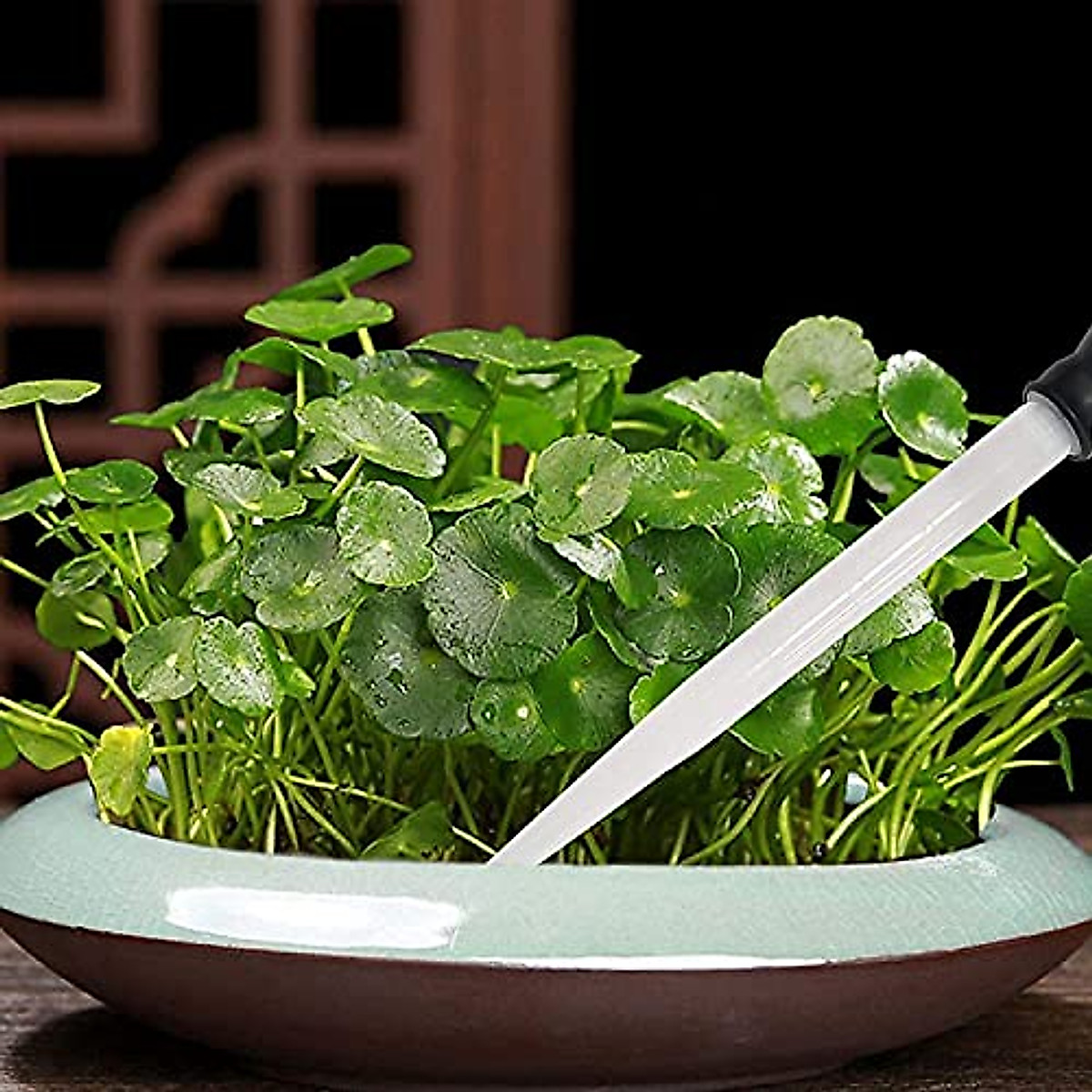 HEIGOO Turkey Baster,30 ml Strong-Suction Plastic Rubber Meat Baster,Used for Cleaning Fish Tanks,Watering Plants,Seasoning in Kitchen Cooking,Transparent