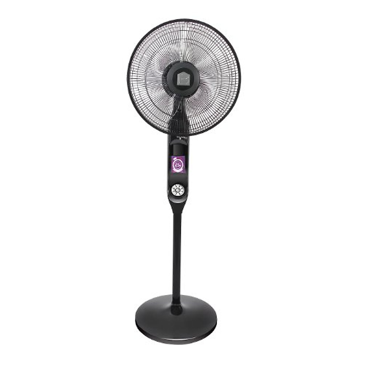 Living Basix LB360 360-Degree Whole Room Pedestal Fan