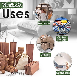 ecoKiwi Cedar Blocks for Clothes Storage Super Bundle Box - Cedar Hangers x10, Balls x30 & Rings x28-100% Natural Oil Planks & Chips for Closets & Drawers - Aromatic Red Cedar Wood with Sandpaper
