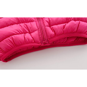 CECORC Winter Coats for Kids with Hoods Light Puffer Jacket for Girls | Baby, Infants, Toddlers, 2T,Rose