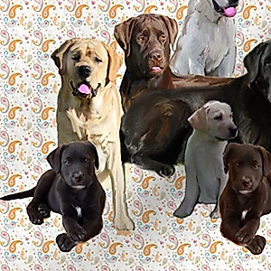 Spoonflower Fabric - Labrador Retriever Retrievers Lab Dogs Animals Paisley Pastel Printed on Petal Signature Cotton Fabric Fat Quarter - Sewing Quilting Apparel Crafts Decor