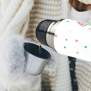 Stainless Steel Leather Vacuum Insulated Mug Summer Watermelon Ice Cream Thermos Water Bottle for Hot and Cold Drinks Kids Adults 16 Oz