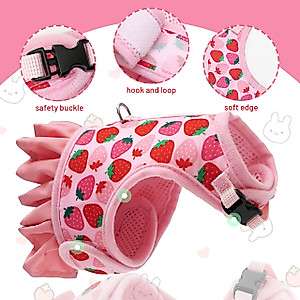 Rabbit Harness and Leash for Walking Escape Proof - Cute Strawberry Pattern Pink Mesh Breathable Bunny Vest Harness Outdoor Camping Hiking Training - Also Suit for Ferret Kitten Puppy Small Animals