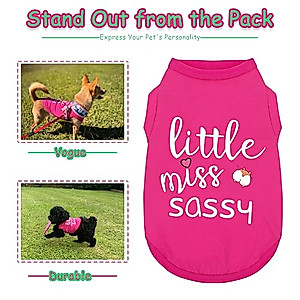 Paiaite Dog Clothes Fashionable Sleeveless Pet Vest: 'Little Miss Sassy' Printed Cotton Dog Shirt, Ideal for Small, Medium, and Large Breeds, Ensuring Comfort and Breathability Rose Red XS