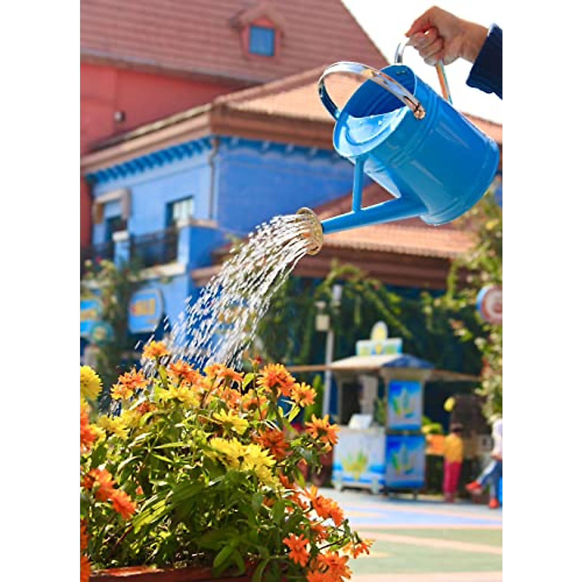 Joequality Watering Can for Outdoor&Indoor Plants，Galvanized Steel Watering Can with Stainless Steel Handles，1 Gallon Metal Plant Watering Pot Gardening Tools，Blue