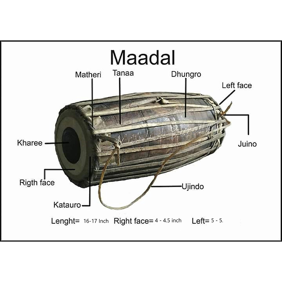 Himalayan Craft Madal Drum Wooden Nepali Folk Instrument Authentic Design 16 IN Large Drum Madal For Fun, For All Age Groups Of Musicians, Gift Birthday Party - Hand Carved In Nepal