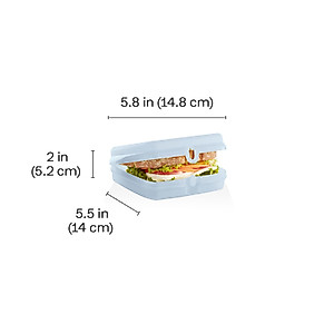 Tupperware Sandwich Keeper 2-Container Set - Dishwasher Safe & BPA Free Container (2 Hinged Containers)