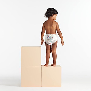 The Honest Company Clean Conscious Training Pants | Plant-Based, Sustainable Diapers | Magical Moments + Butterfly Kisses | Size 2T/3T (34- lbs), 78 Count